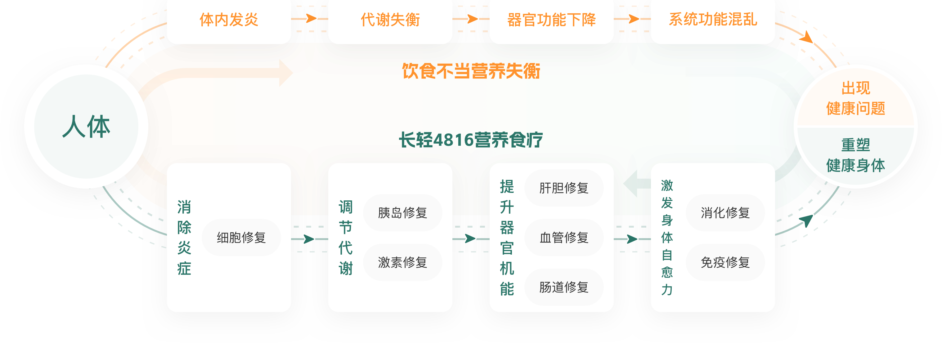 长轻营养食疗-长轻4816营养食疗体系-长轻营养食疗健康管理服务